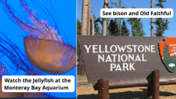 31 Amazing Virtual Field Trips For When You Can't Be There in Person