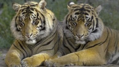 Topic - Science Page 13 - We Are Teachers