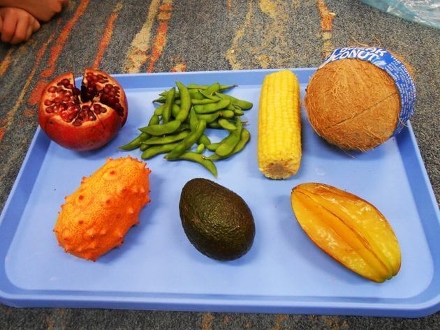 Learning About Seeds in Third Grade (With Free Printables!) - We Are ...