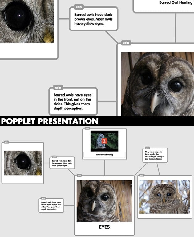 Popplet: Mind Mapping Tech Tool - We Are Teachers