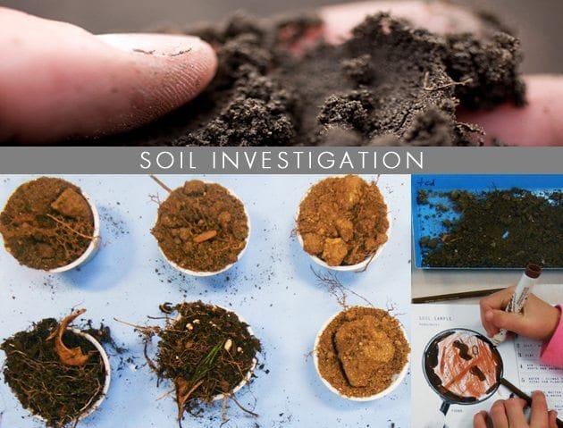 Hands-On Science Using Nature Works - We Are Teachers