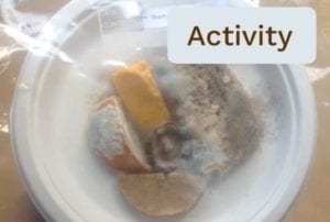 35 Fantastic Fourth Grade Science Experiments and Activities