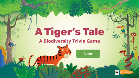 Your Students Will Love This Free Wild Tiger Lesson and Trivia Game