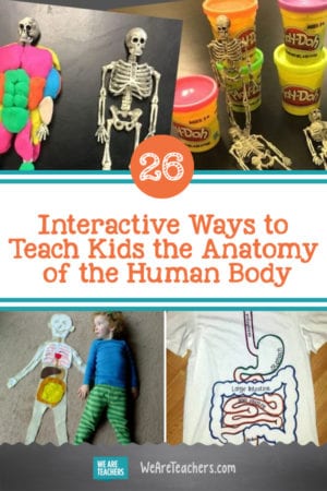 26 Interactive Ways to Teach Kids the Anatomy of the Human Body