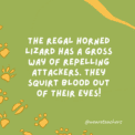 25 Amazing Animal Facts to Share With Your Students - We Are Teachers
