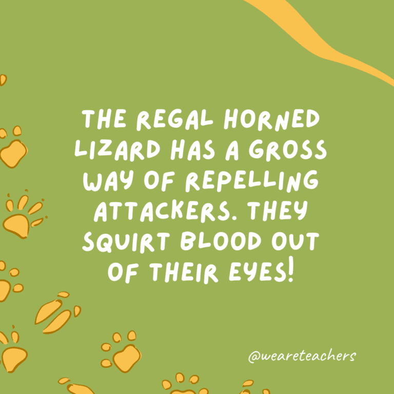 25 Amazing Animal Facts to Share With Your Students - We Are Teachers
