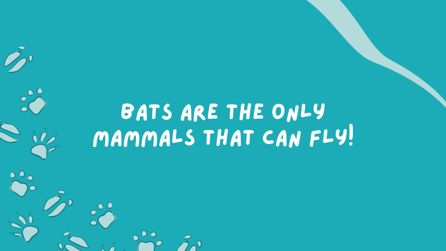 25 Amazing Animal Facts to Share With Your Students - We Are Teachers
