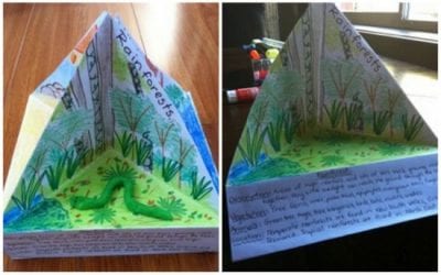 20 Wild Ways to Explore Animal Habitats With Kids