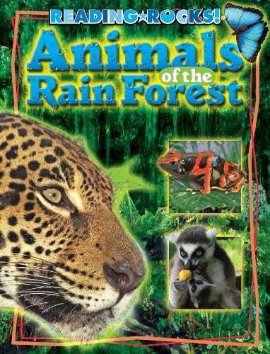 Best Rainforest Books for Kids, As Chosen by Educators