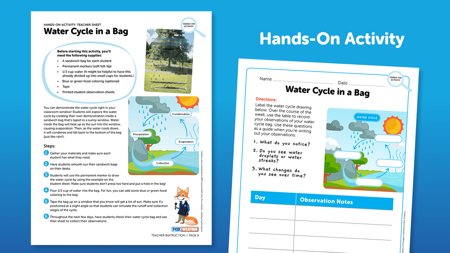 Weather Worksheets & Activities for Grades 3-5—Free Download!