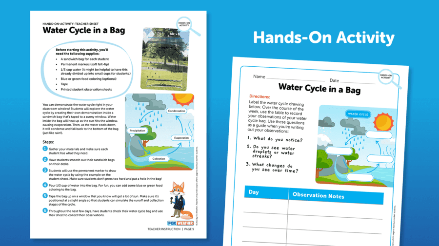 Weather Worksheets & Activities for Grades 3-5—Free Download!