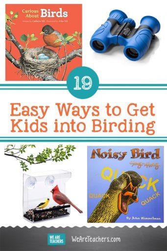 Birding for Kids - 19 Easy Ways to Get Kids into Birding