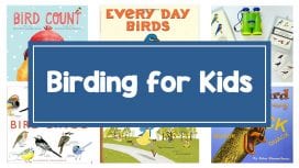 Birding for Kids - 19 Easy Ways to Get Kids into Birding