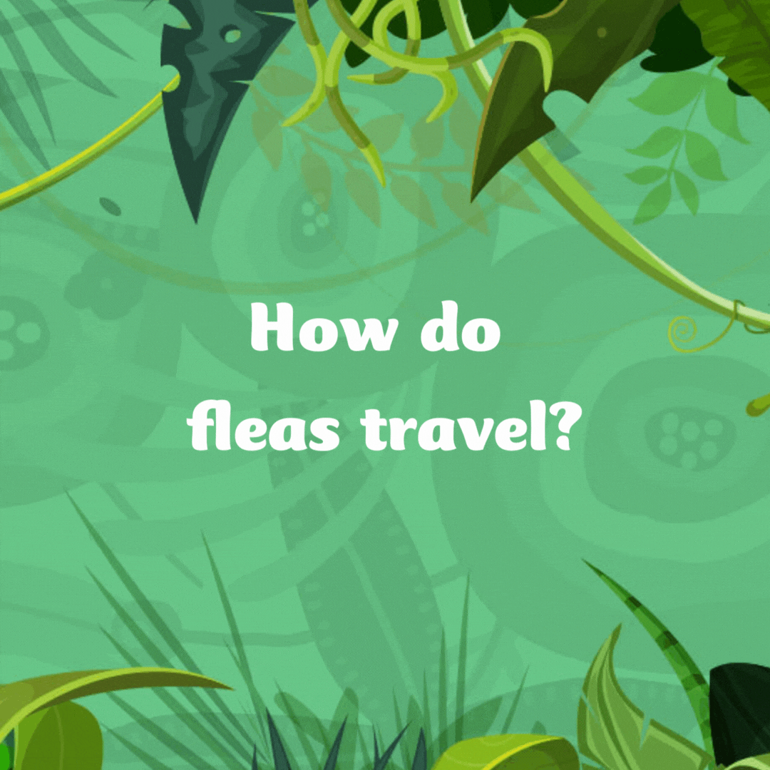 Bug Puns You Can "Bee" Sure Your Students Will Love