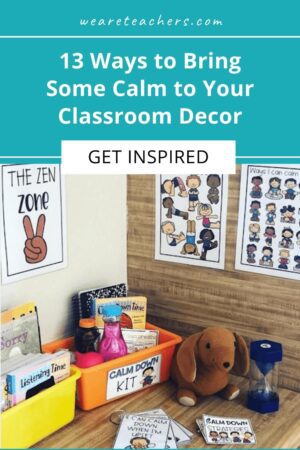 13 Calming Classroom Theme Ideas To Stop the Chaos