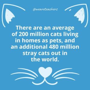 25 Cat Facts for Kids That Are Purrrfect for All Ages