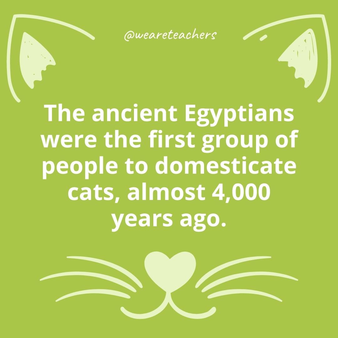 25 Cat Facts For Kids That Are Purrrfect For All Ages 25-cat-facts-for-kids-that-are-purrrfect-for-all-ages