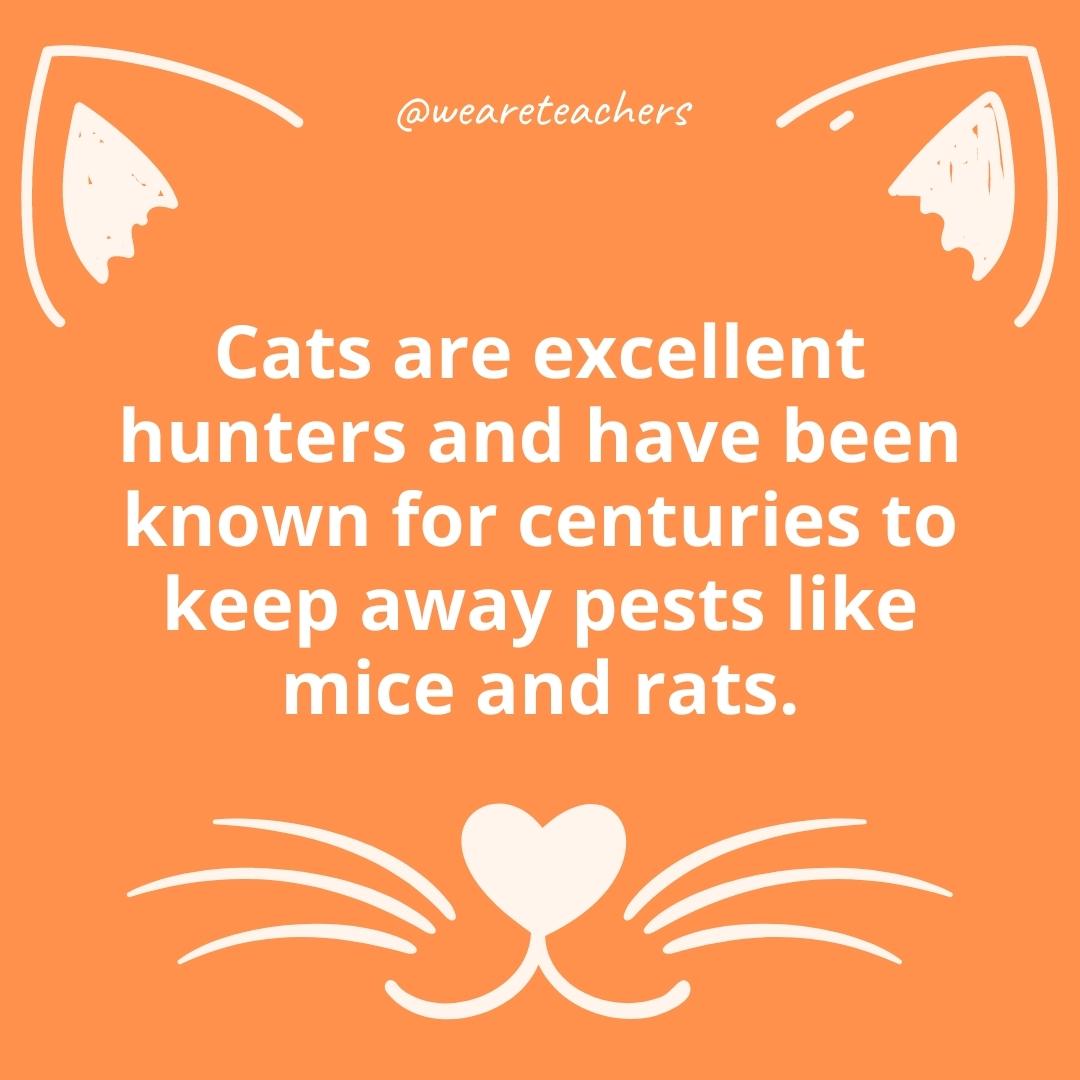 25 Cat Facts For Kids That Are Purrrfect For All Ages