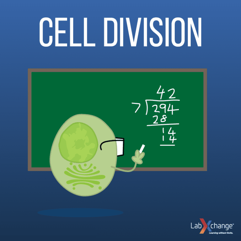 37 Cheesy Science Jokes & Memes for the Classroom - We Are Teachers