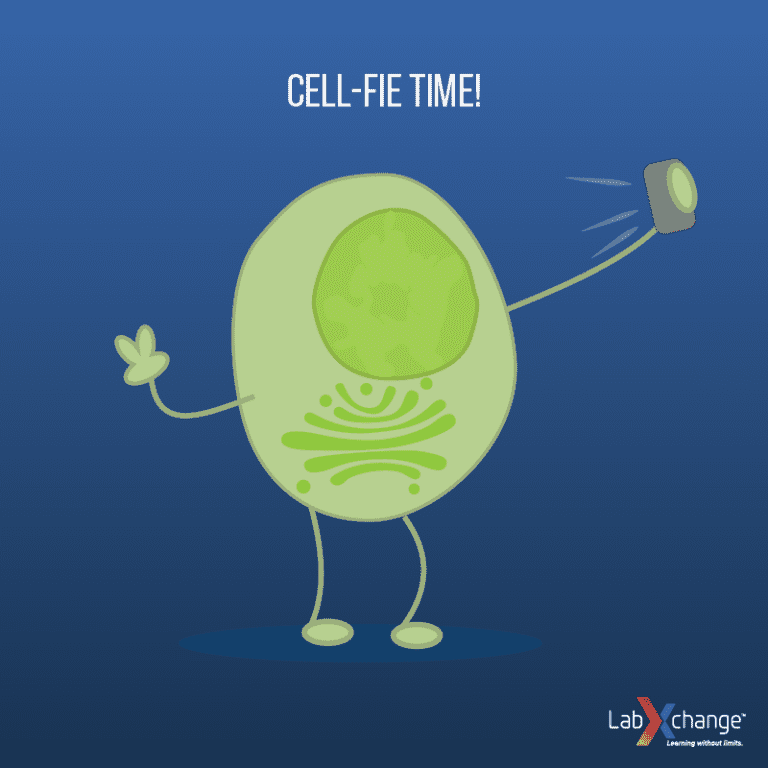 37 Cheesy Science Jokes & Memes for the Classroom - We Are Teachers