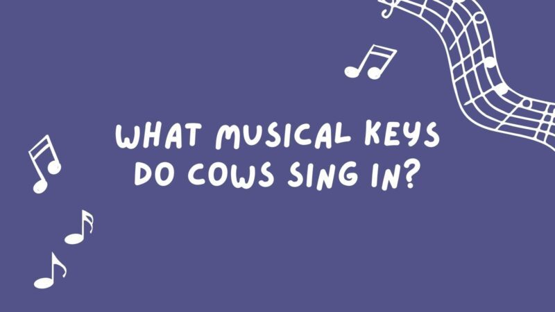 72 Music Jokes Your Students Will Love