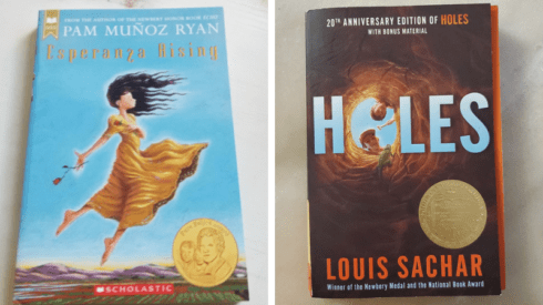 27 Best 5th Grade Books for the Classroom