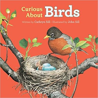 Birding for Kids - 19 Easy Ways to Get Kids into Birding