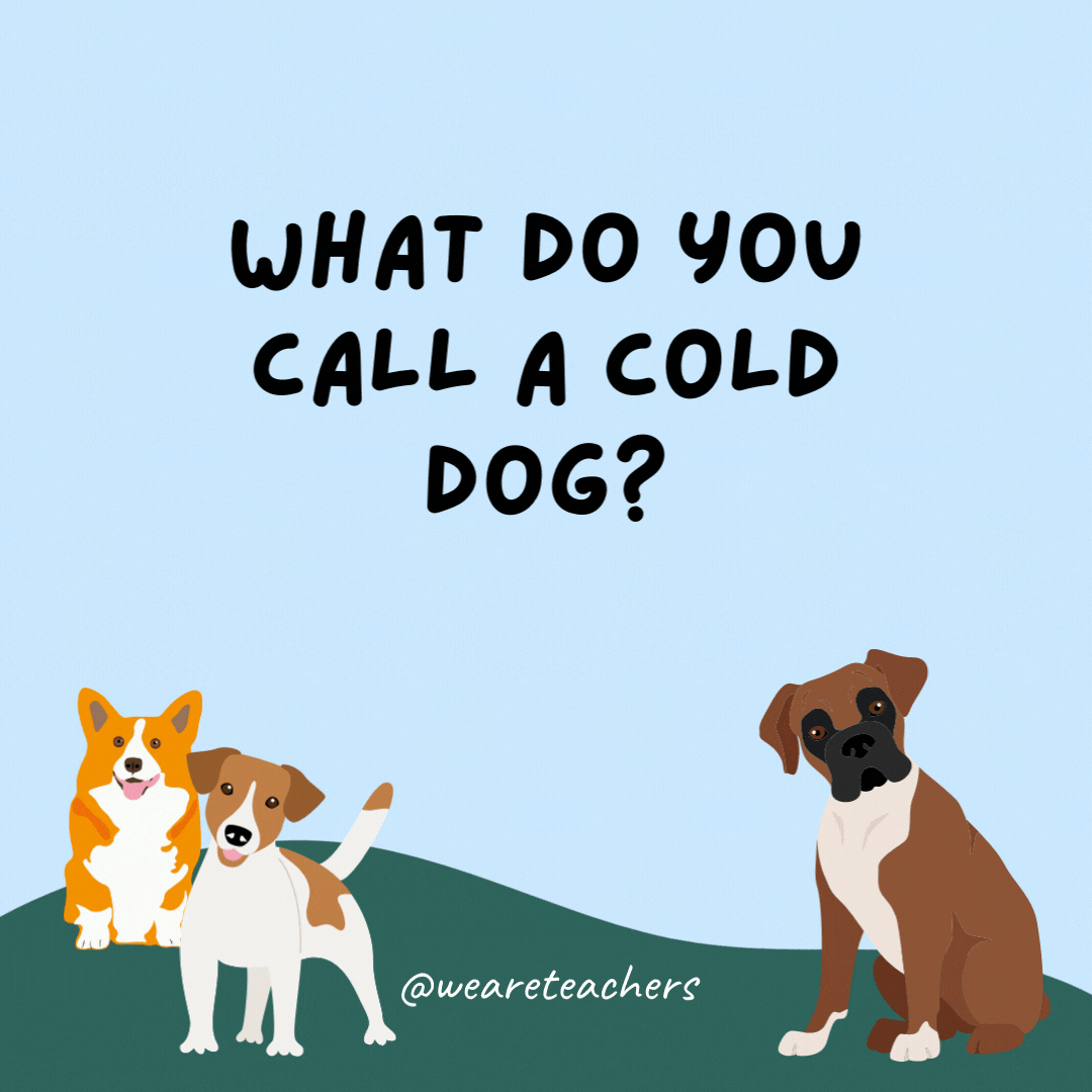 Greatest Canine Jokes For Children FKAkidstv
