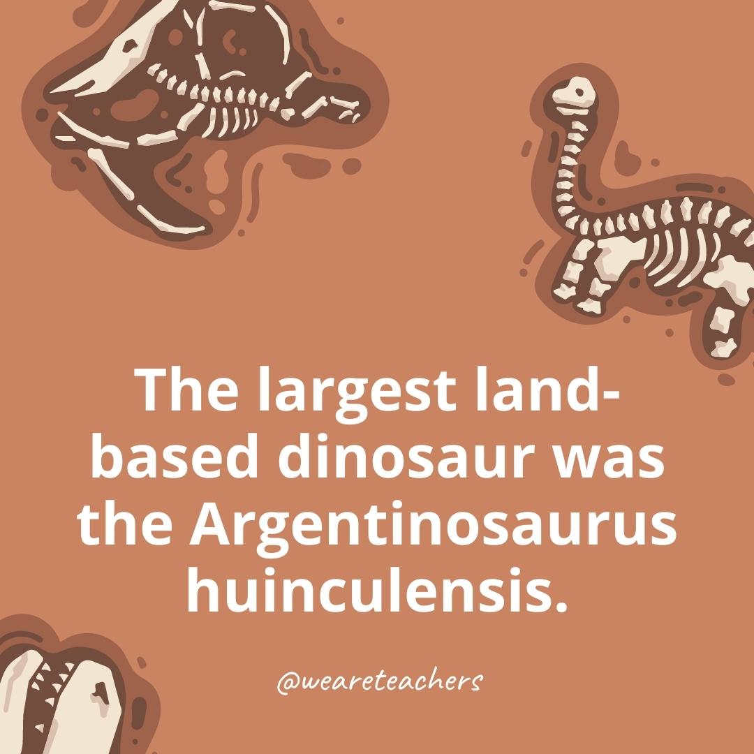 Dinosaur Facts for Kids That Will Shock and Amaze Your Students!