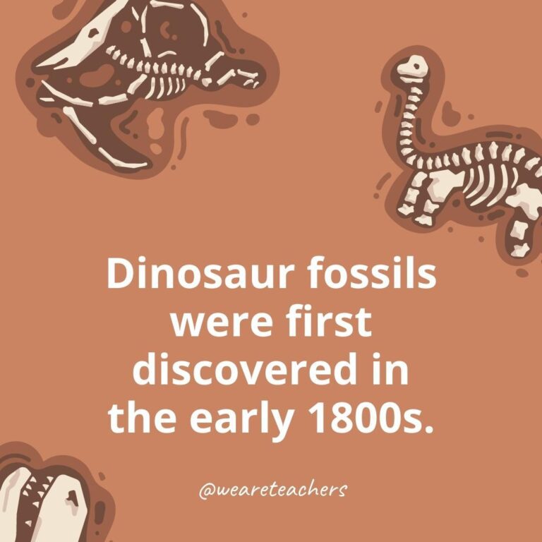 Dinosaur Facts for Kids That Will Shock and Amaze Your Students!
