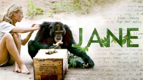 50+ Best Streaming Documentaries to Watch as a Family | WeAreTeachers