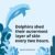 Dolphin Facts for Kids to Share in the Classroom