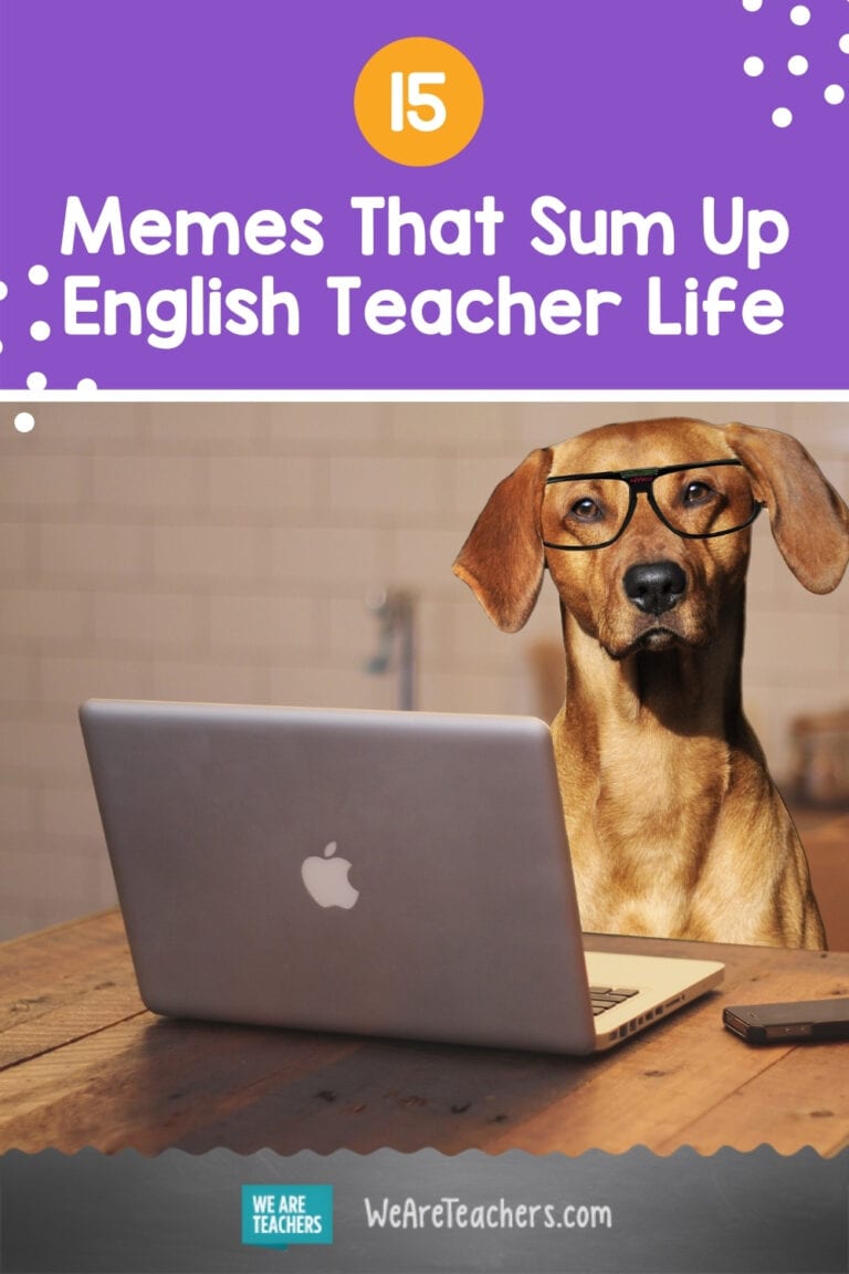 15 Funny English Teacher Memes WeAreTeachers 15-funny-english-teacher-memes-weareteachers