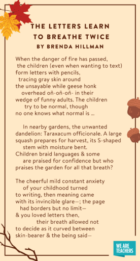 33 Cozy Fall Poems for Students of All Ages - We Are Teachers