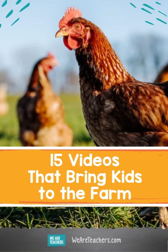 Check Out Our Favorite Educational Farm Videos for Kids