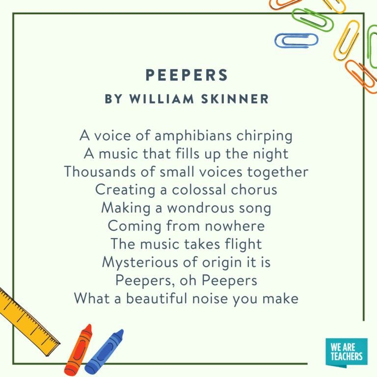 Thought Provoking 5th Grade Poems To Share In Your Classroom thought-provoking-5th-grade-poems-to-share-in-your-classroom