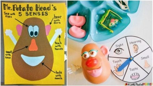 25 Five Senses Activities Young Learners Will Really Love