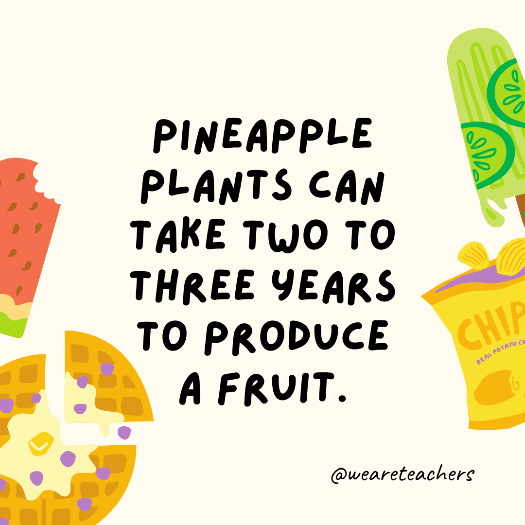 25 Fascinating Gross And Fun Food Facts For Kids 25 Fascinating Gross And Fun Food Facts For Kids