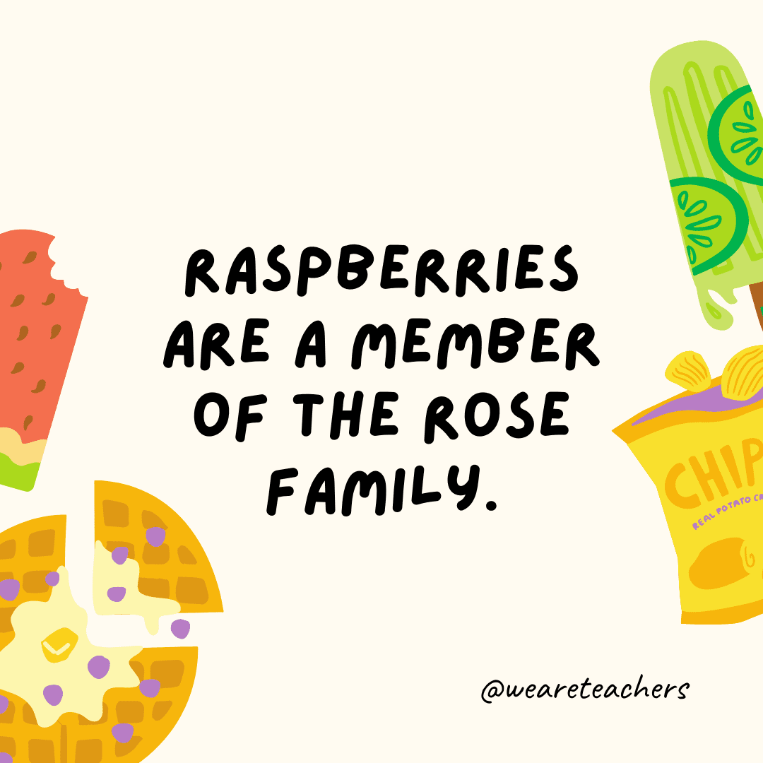 25 Fascinating Gross And Fun Food Facts For Kids 25 Fascinating Gross And Fun Food Facts For Kids