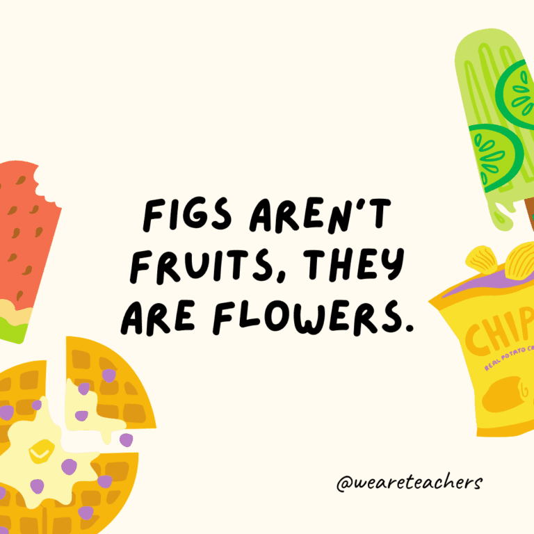 25 Fascinating, Gross, and Fun Food Facts for Kids!