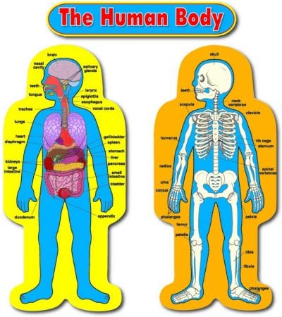 Science Supplies for the Elementary Classroom--Learn About the World!