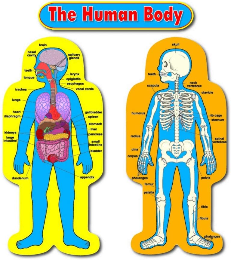 Science Supplies for the Elementary Classroom--Learn About the World!