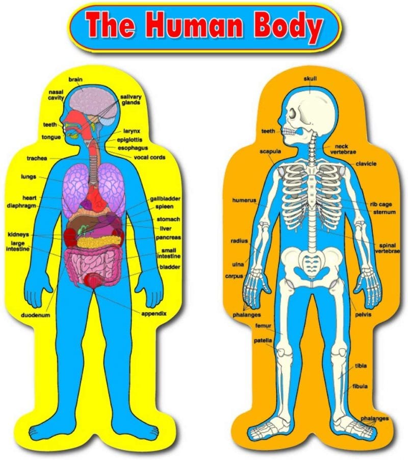 Science Supplies for the Elementary Classroom--Learn About the World!