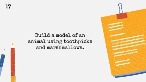 25 Second Grade STEM Challenges To Help Kids Think Creatively