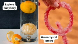 30 Free and Fun Kindergarten Science Activities