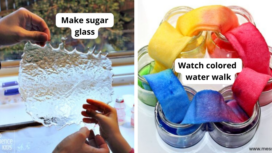 38 Free and Fun Kindergarten Science Activities
