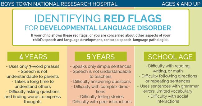 Mixed Receptive Expressive Language Disorder Slide Share