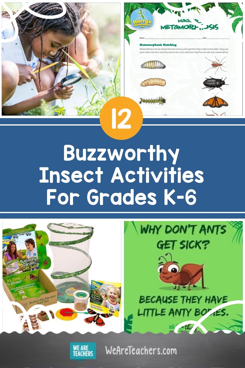 Insect Activities to Get Kids in Grades K-6 Buzzing With Excitement