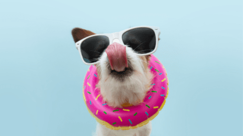 20 Ways to Make Summer Last as the New School Year Begins