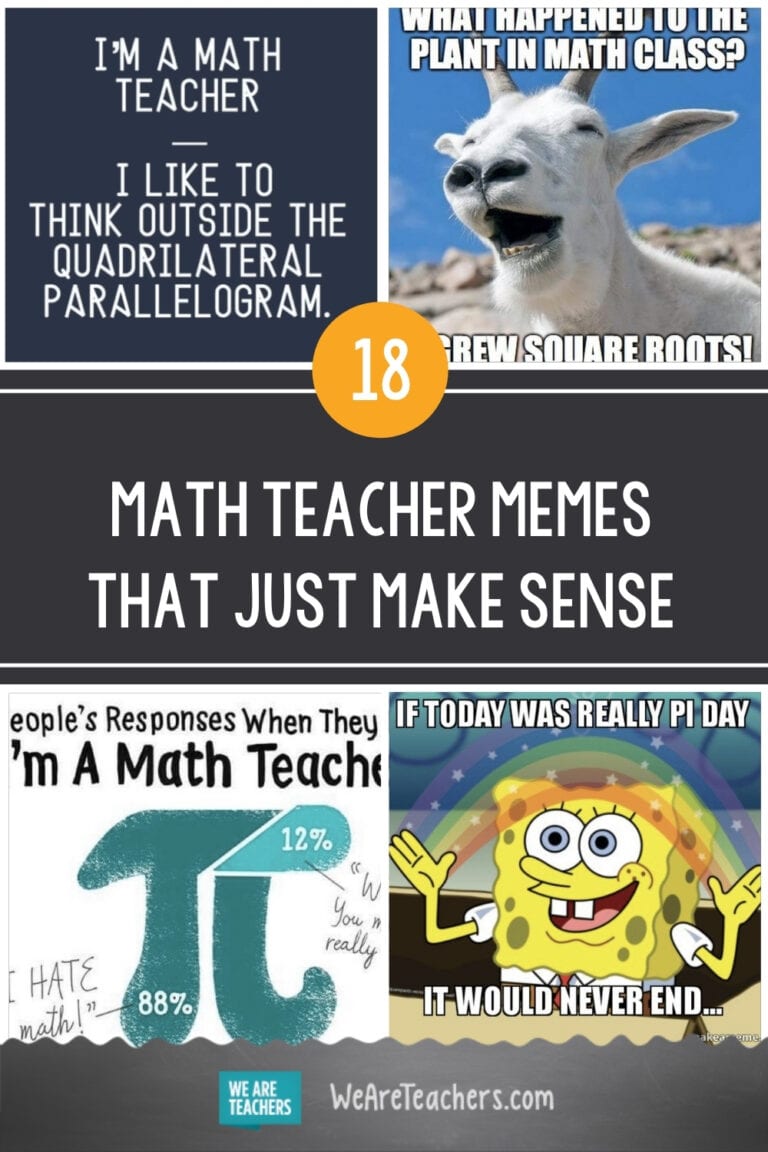 18 Math Teacher Memes That Just Make Sense - We Are Teachers